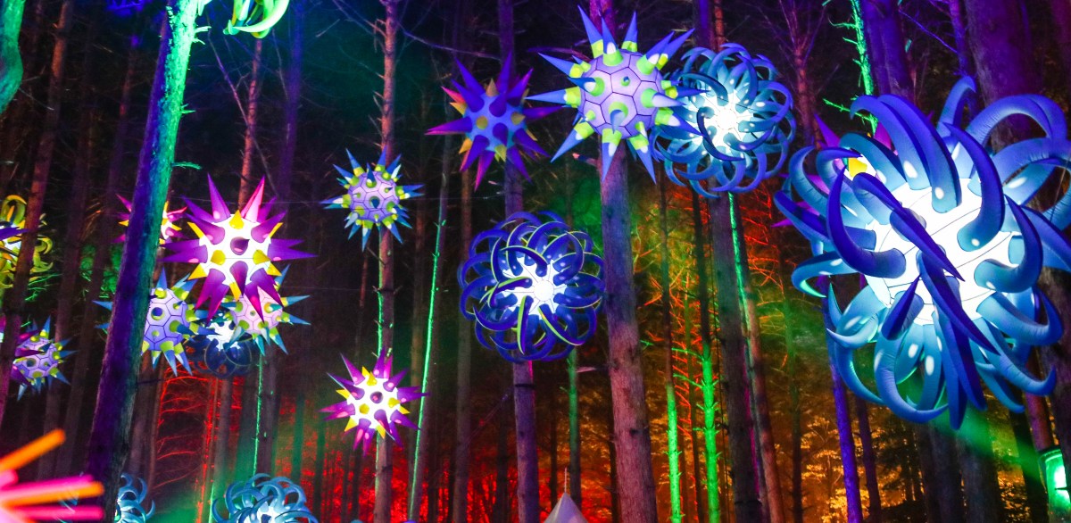 The Good, The Bad, and The Ugly: Electric Forest 2019 Reviewed – frankles